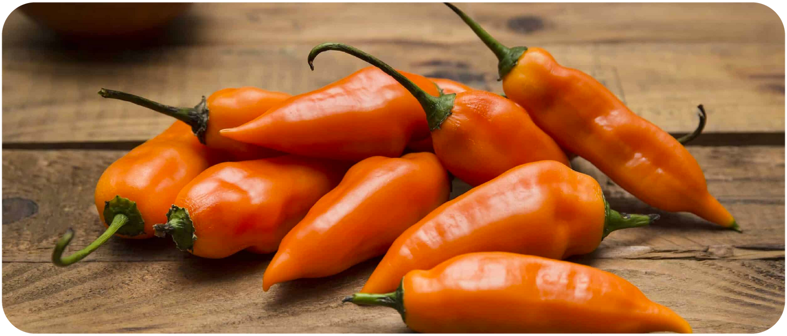 Must-Have Peruvian Food Items for Your Home Kitchen: Top Picks - Kosmos ...